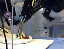 Transoral robotic surgery in the management of head and neck tumours ...