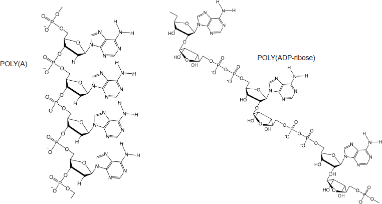 The cardioprotective effect of dexrazoxane (Cardioxane) is consistent ...