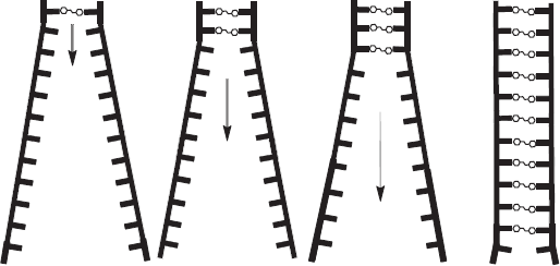 The cardioprotective effect of dexrazoxane (Cardioxane) is consistent ...