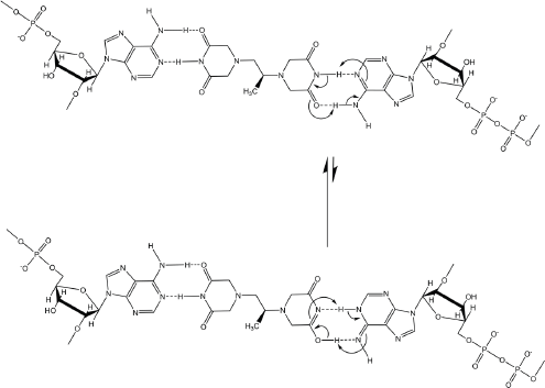 The cardioprotective effect of dexrazoxane (Cardioxane) is consistent ...
