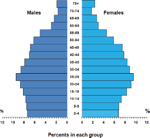Cancer incidence in Rabat, Morocco: 2006–2008 - ecancer